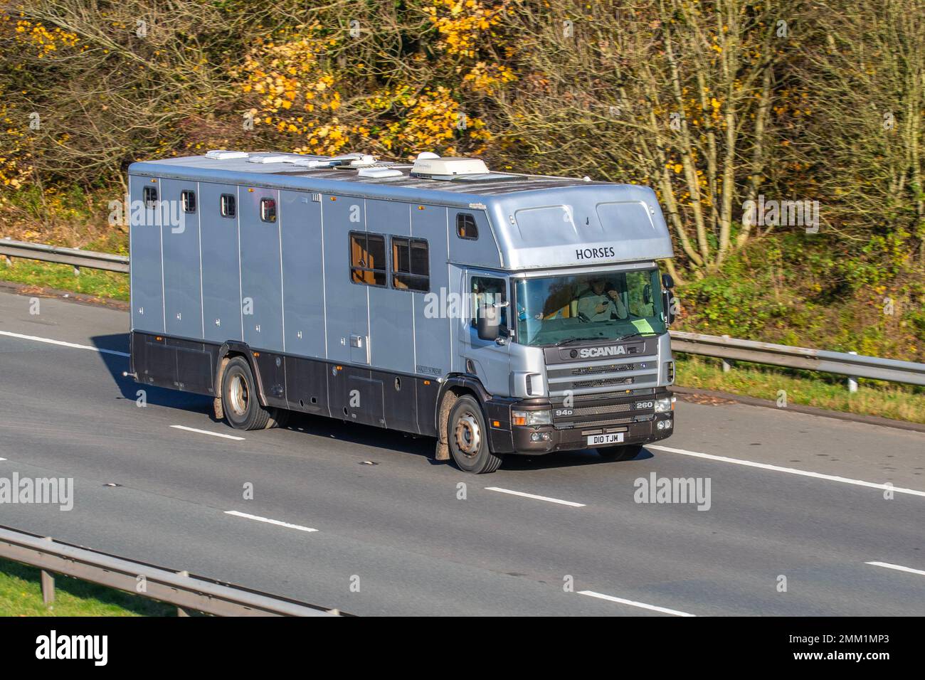 HORSES IN TRANSPORT; 1998 90s nineties SCANIA P94 94d 260 8970cc cab ...