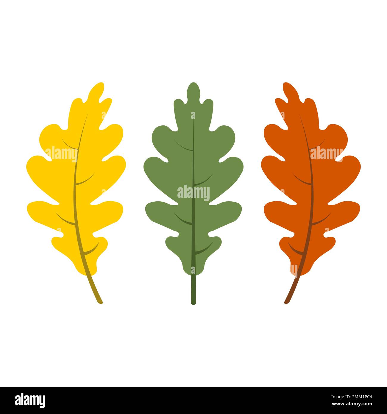 Oak leafes autumn colours vector art illustration Stock Vector Image ...