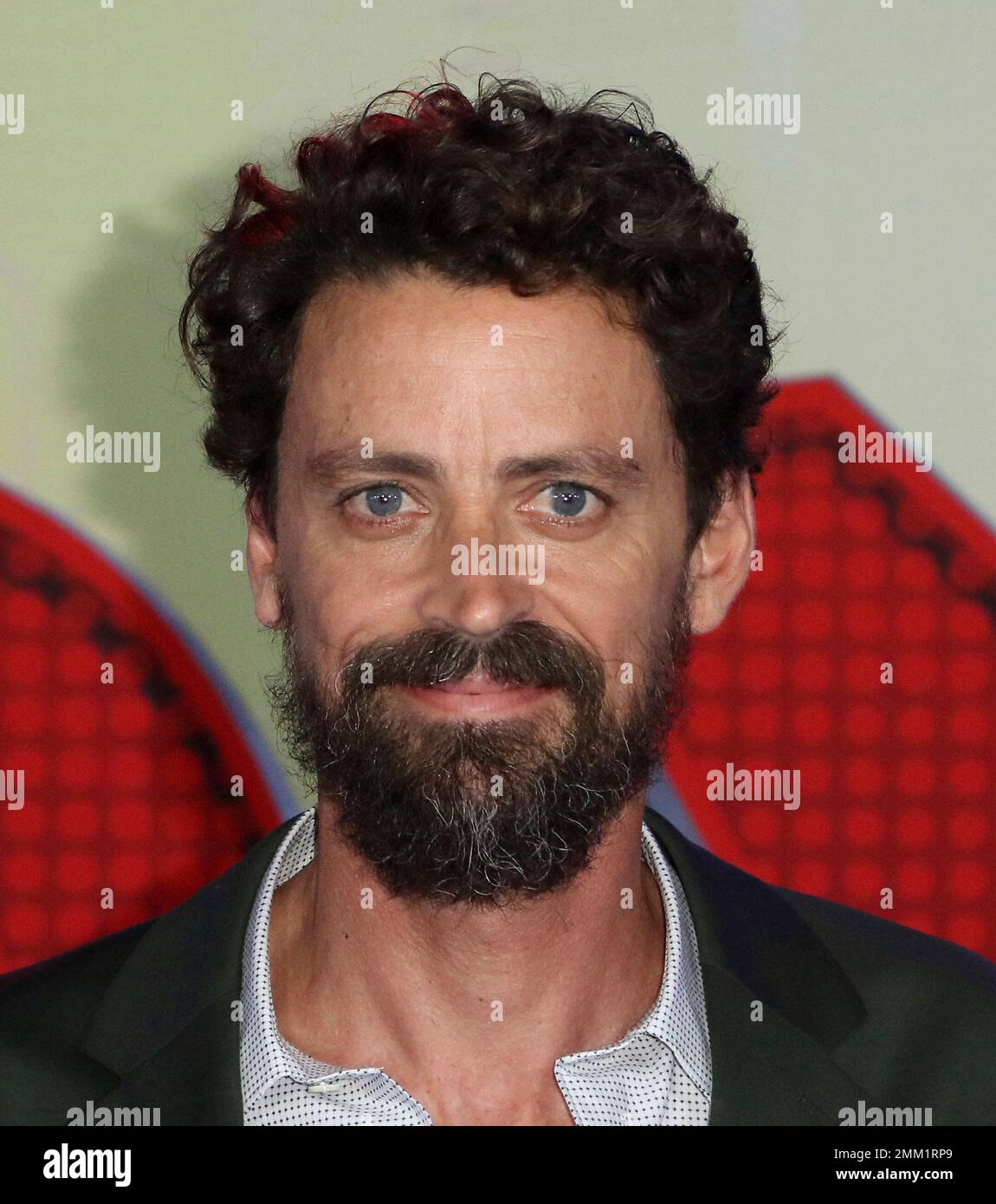 Director Bob Persichetti arrives at the World Premiere of "Spider-Man ...