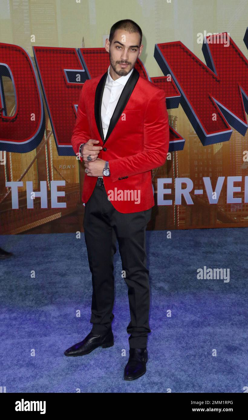 Michel Duval arrives at the World Premiere of "Spider-Man: Into the ...