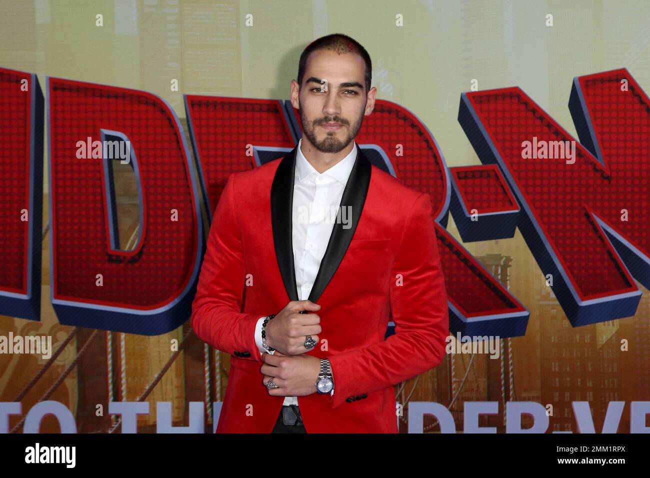 Michel Duval arrives at the World Premiere of "Spider-Man: Into the ...