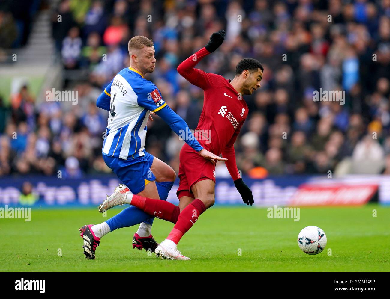 Cody webster hi-res stock photography and images - Alamy