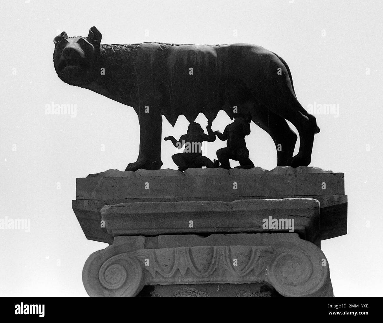 Roman she-wolves, Rome, Italy, 1975 Stock Photo - Alamy