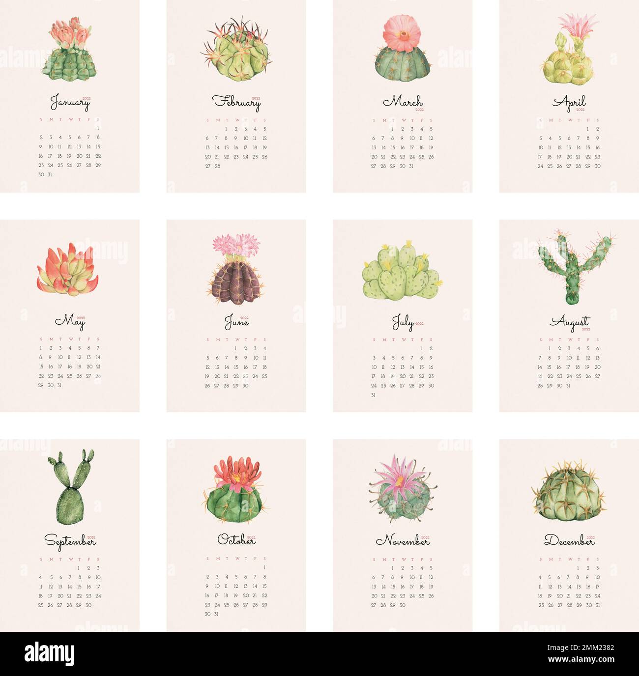 Botanical 2022 monthly calendar template, cactus illustration vector ...