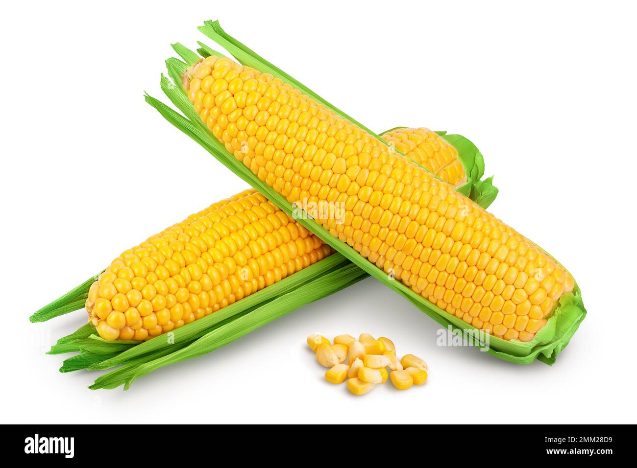 ear of corn isolated on a white background. Clipping path and full ...