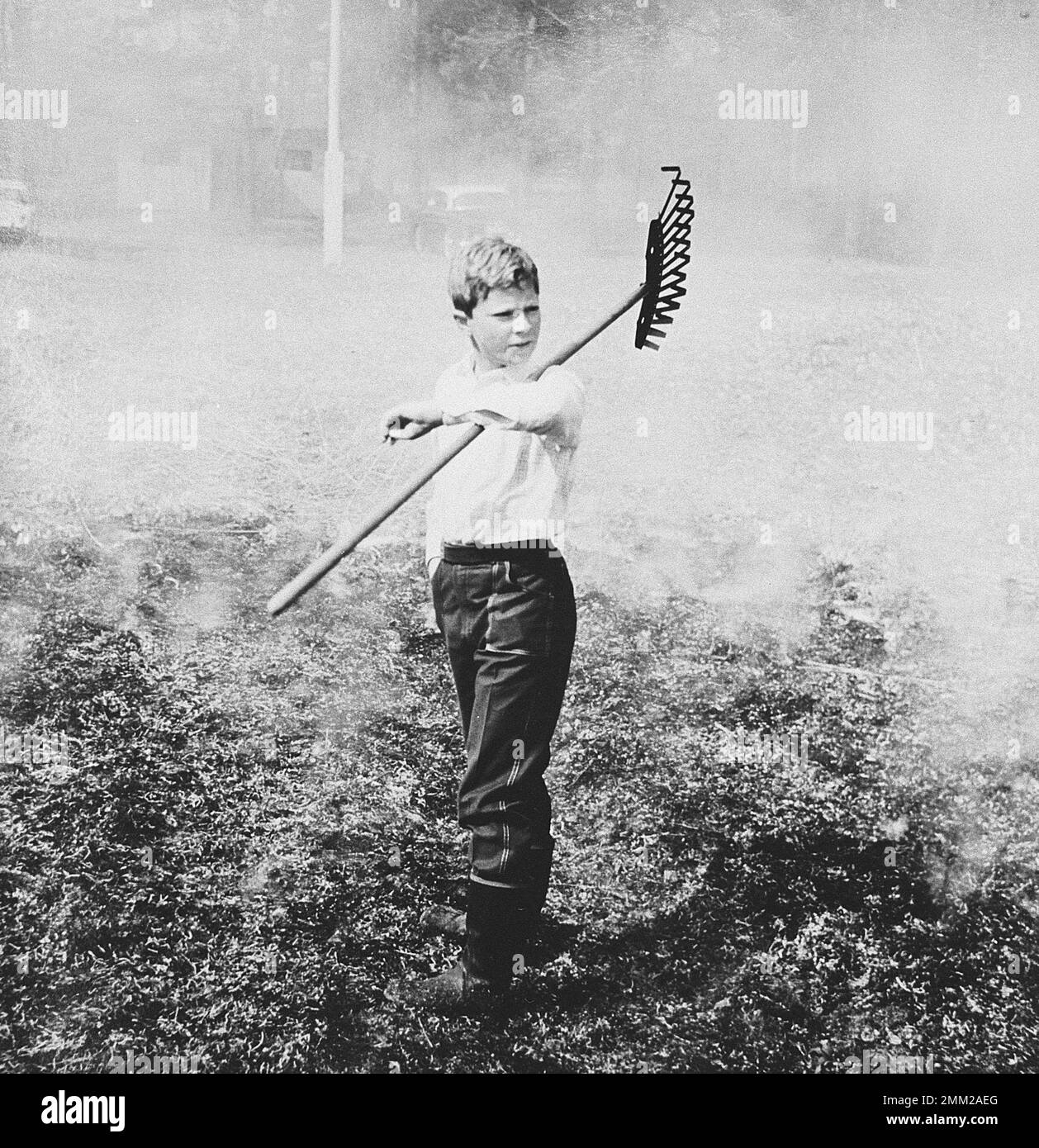 Carl XVI Gustaf, King of Sweden. Born 30 april 1946. 1950s ref EG23-4 ...