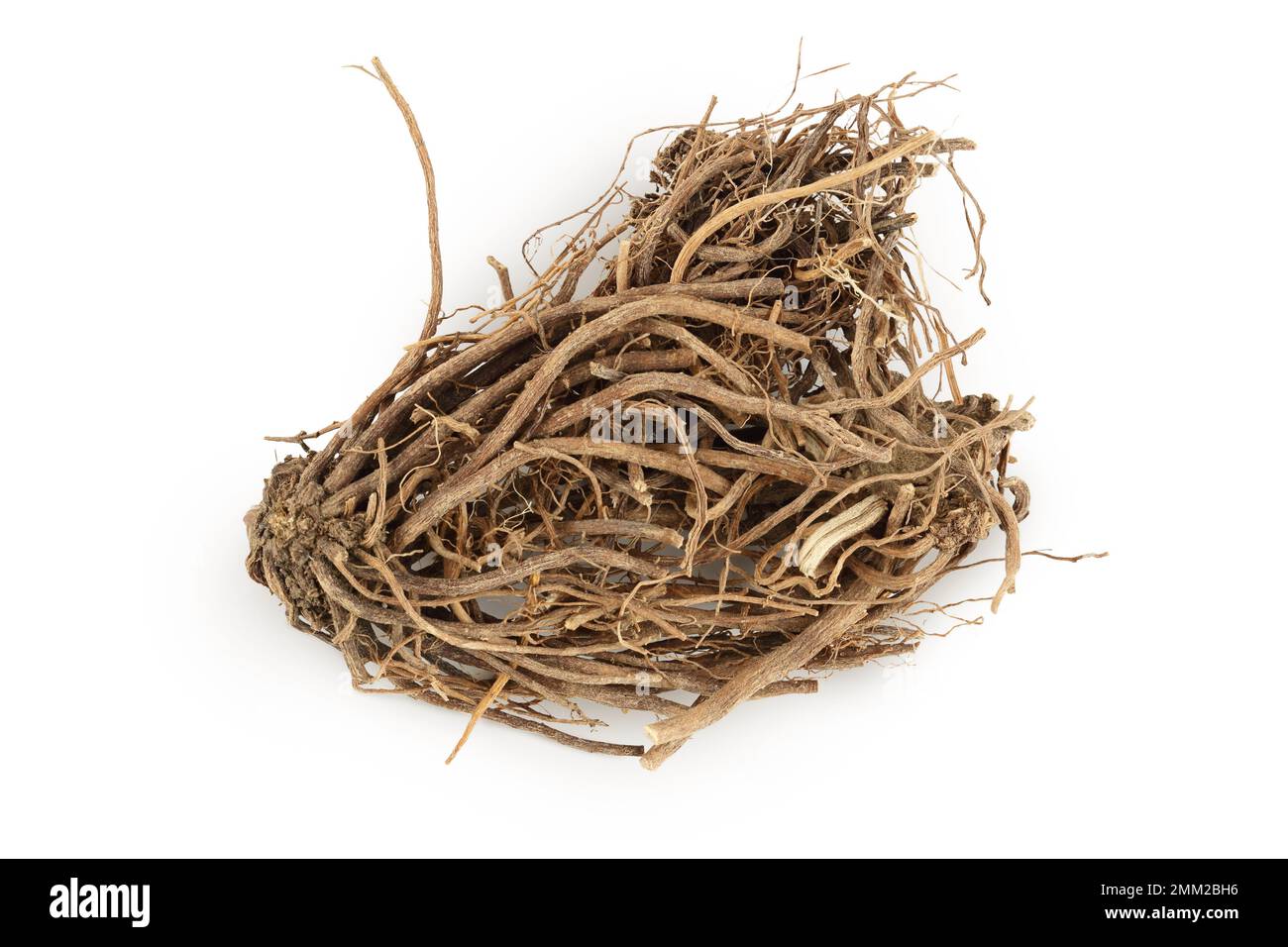 Dried Valerian root isolated on white background. Valeriana officinalis ...