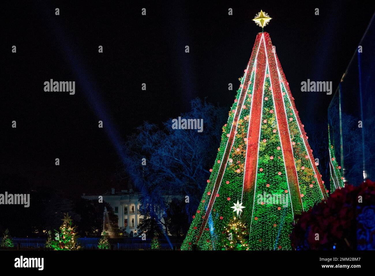 The National Christmas Tree is lit following a ceremony at the Ellipse ...