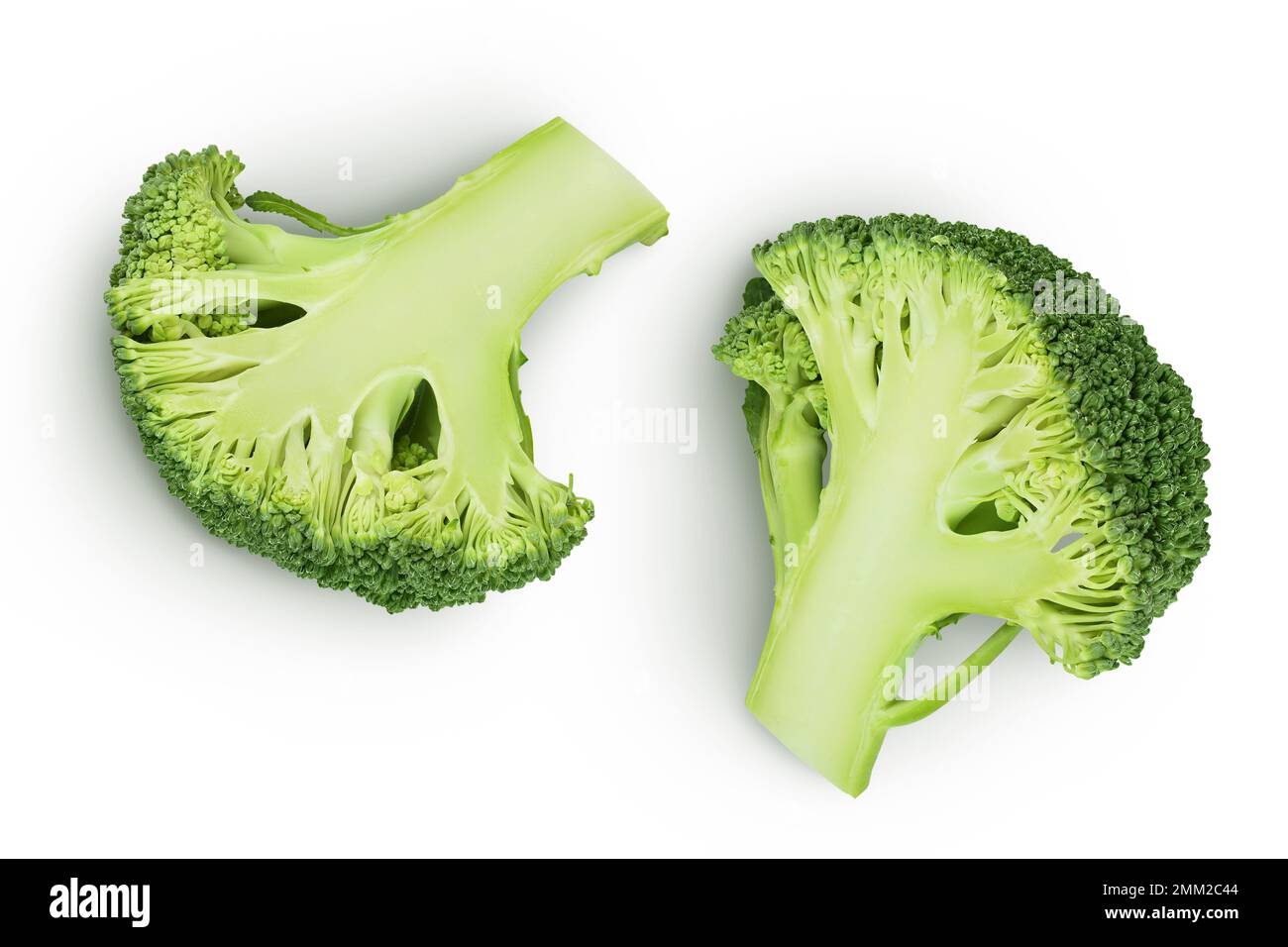fresh broccoli isolated on white background close-up with full depth of ...