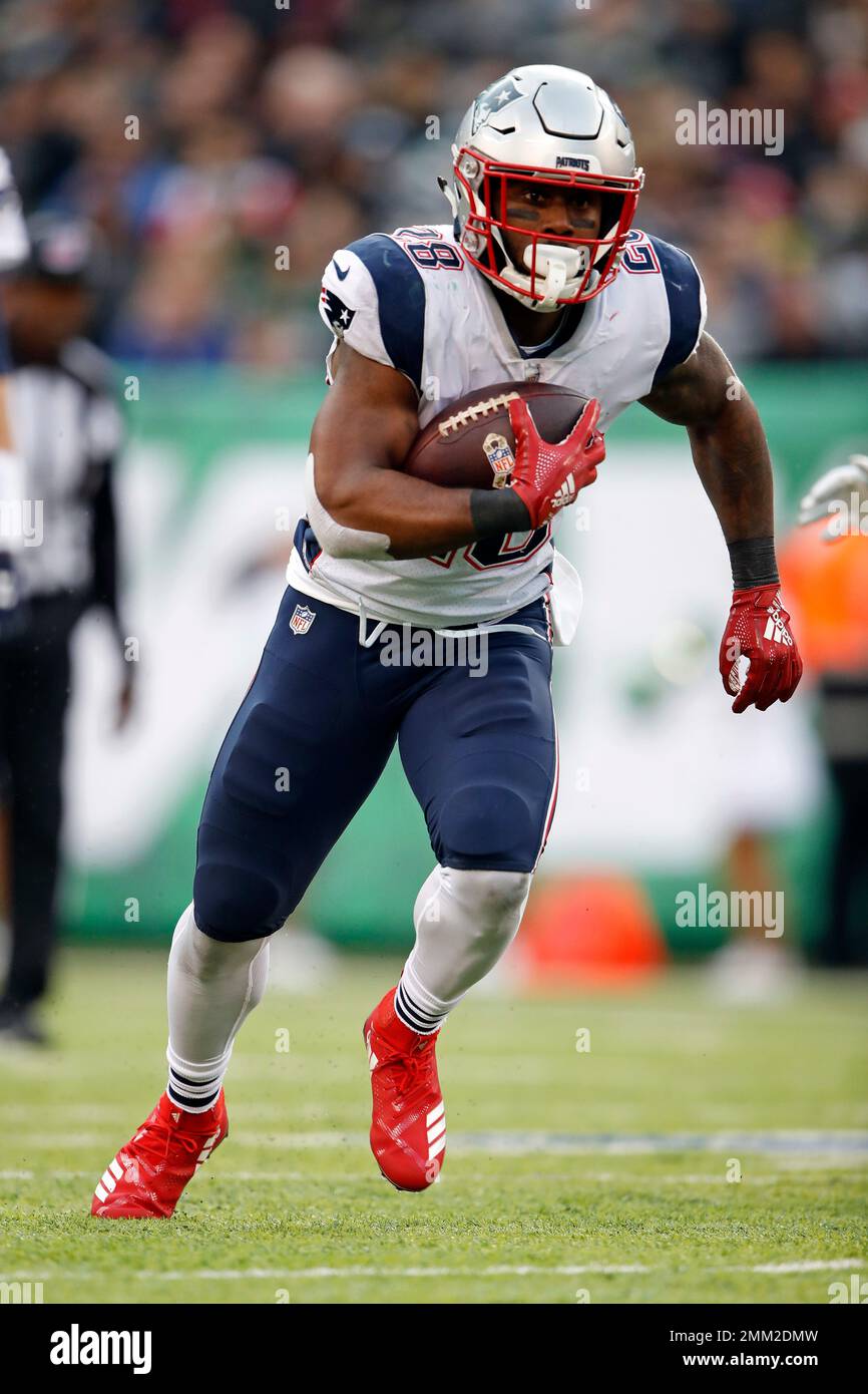 New England Patriots running back James White (28) in action against ...