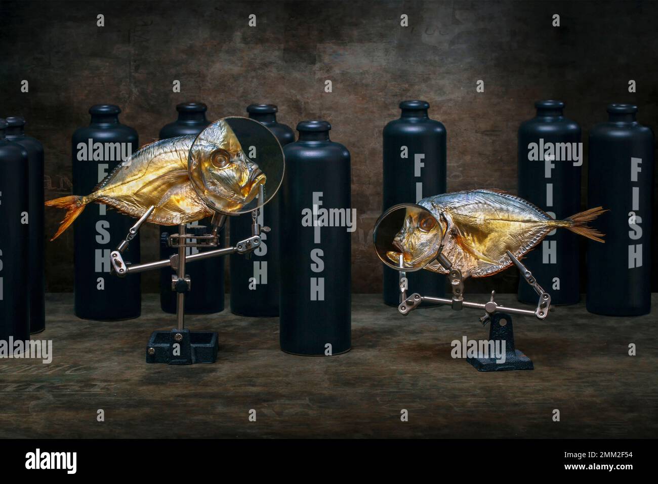 Fish inside bottle hi-res stock photography and images - Alamy