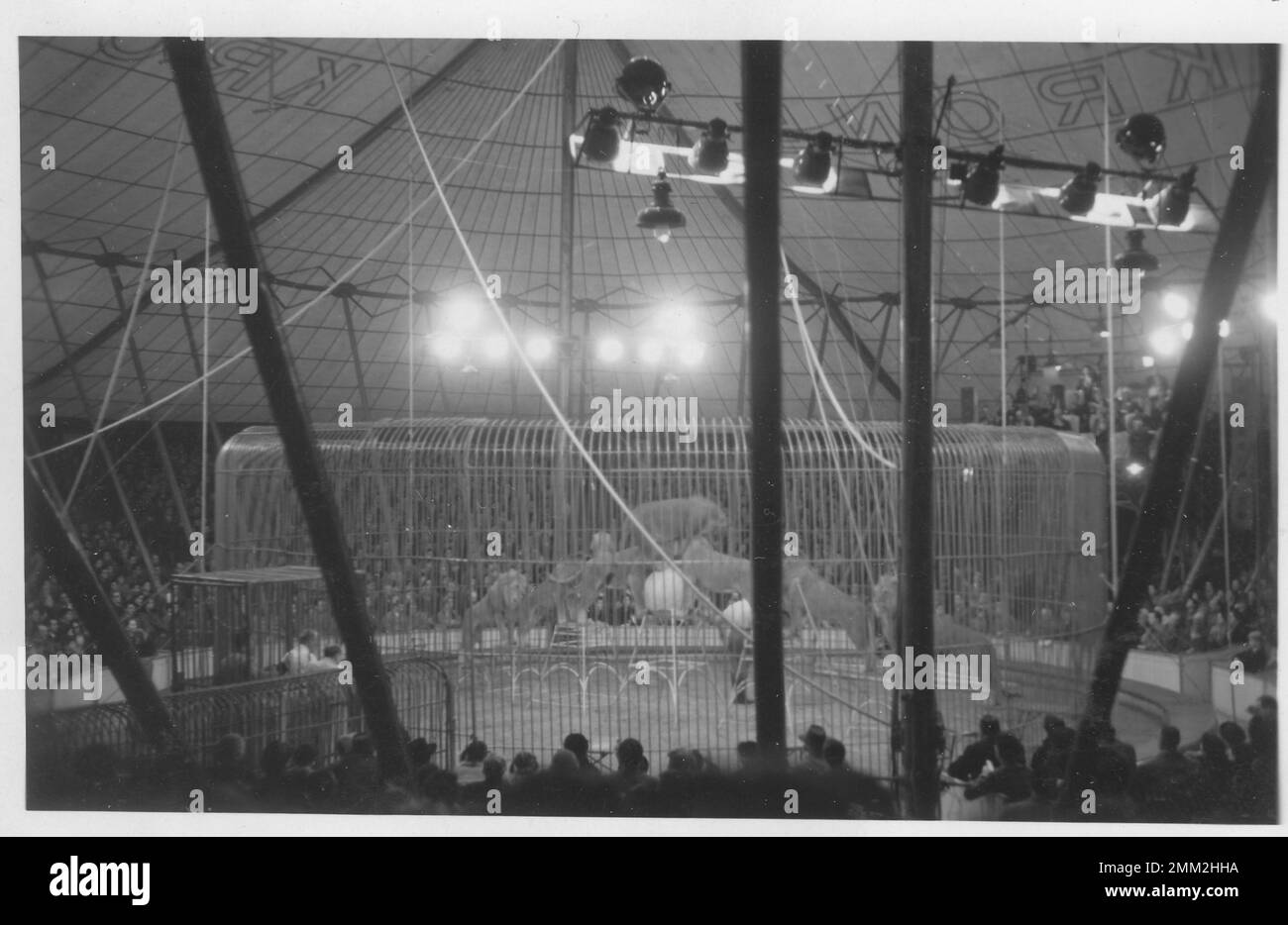 Circo krone hi-res stock photography and images - Alamy