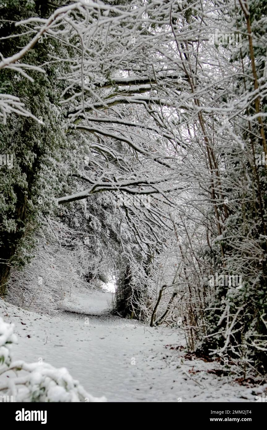 Hawkley hangers hi-res stock photography and images - Alamy