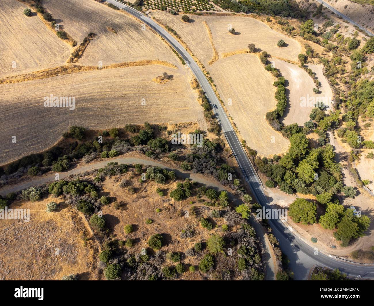 Cypriot tree cyprus flora hi-res stock photography and images - Alamy