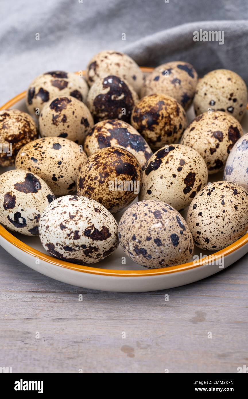 Fresh small spotted partridge or quail bird eggs uncooked Stock Photo ...
