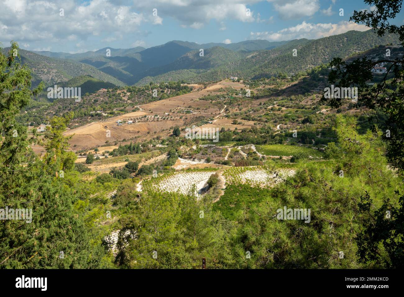 Landscape of Cyprus island, forest, mountains, vineyards, vacation on ...