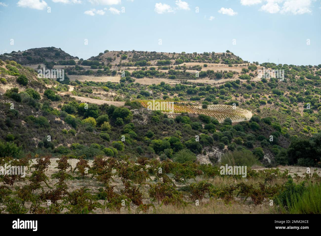Landscape of Cyprus island, forest, mountains, vineyards, vacation on ...