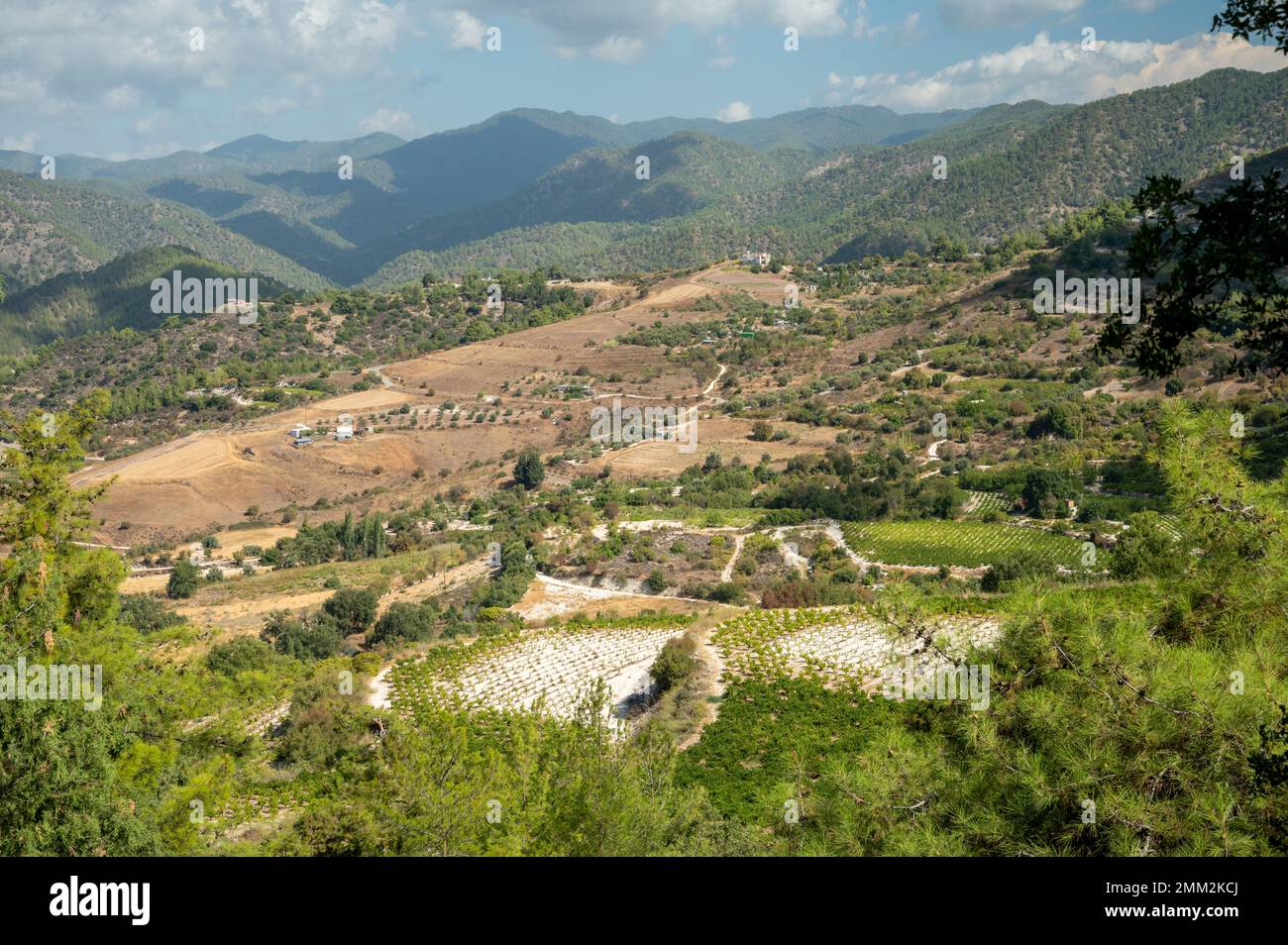 Landscape of Cyprus island, forest, mountains, vineyards, vacation on ...