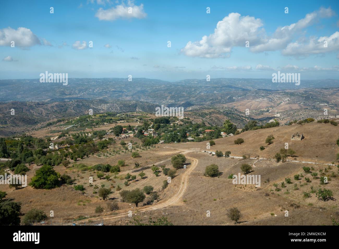 Cypriot tree cyprus flora hi-res stock photography and images - Alamy