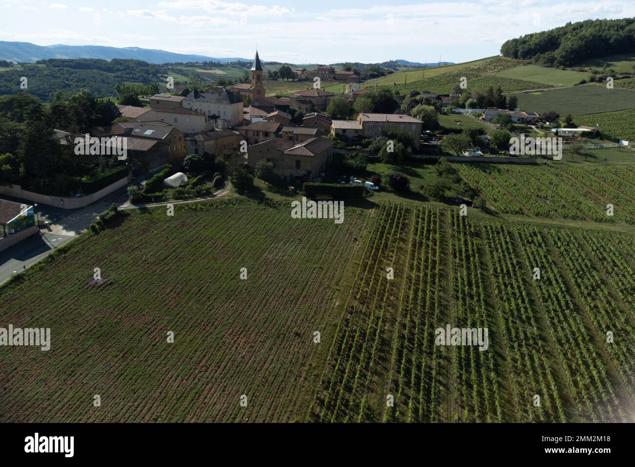 Wine making region Beaujolais Pierre dorees wioth yellow houses and ...