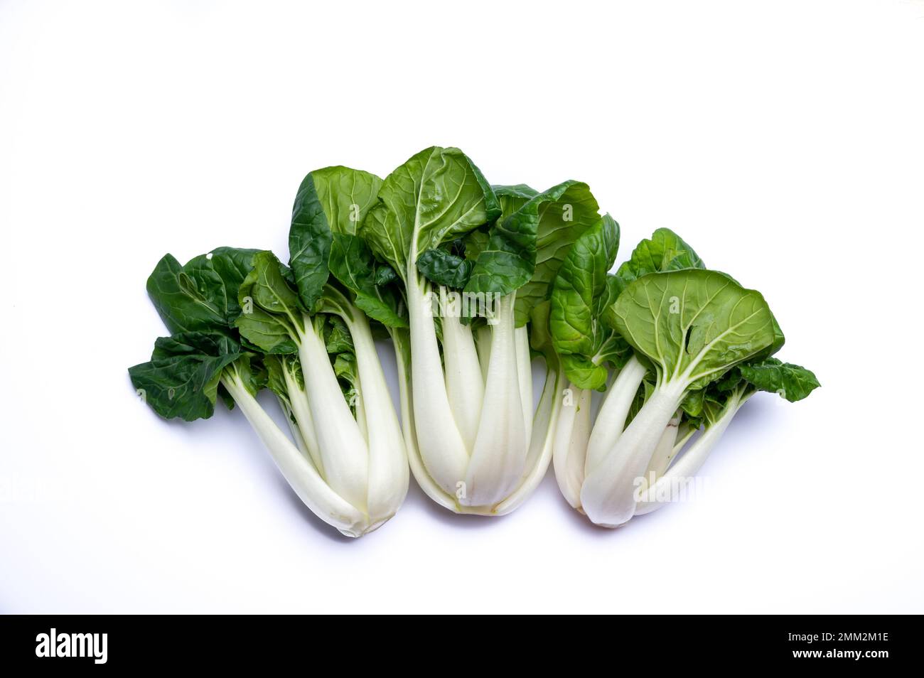 Young fresh organic white bok choy or bak choi Chinese cabbage ready to ...