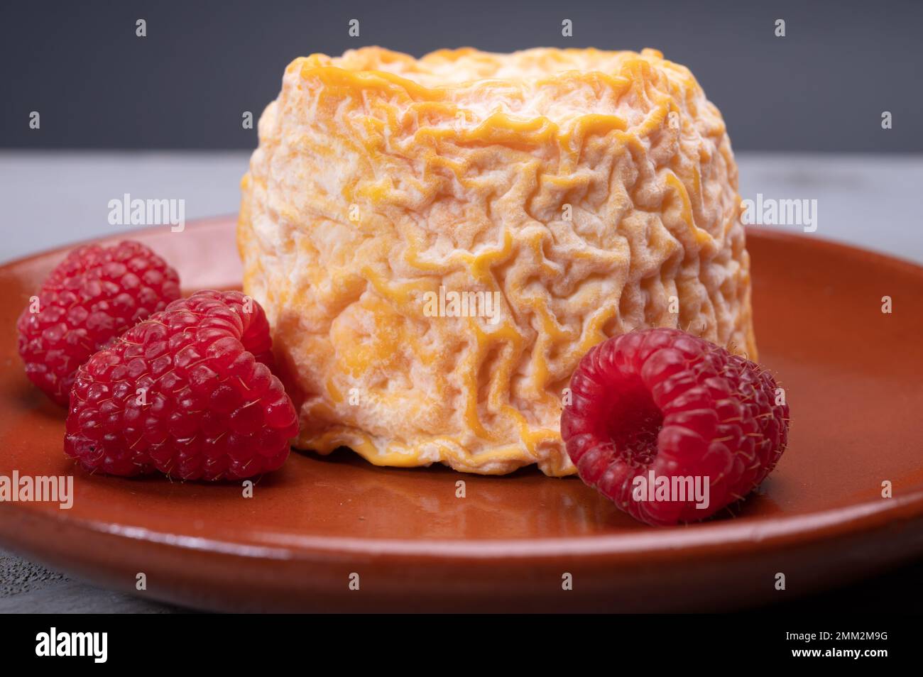 French Langres soft cows crumbly cheese with washed rind structure made ...