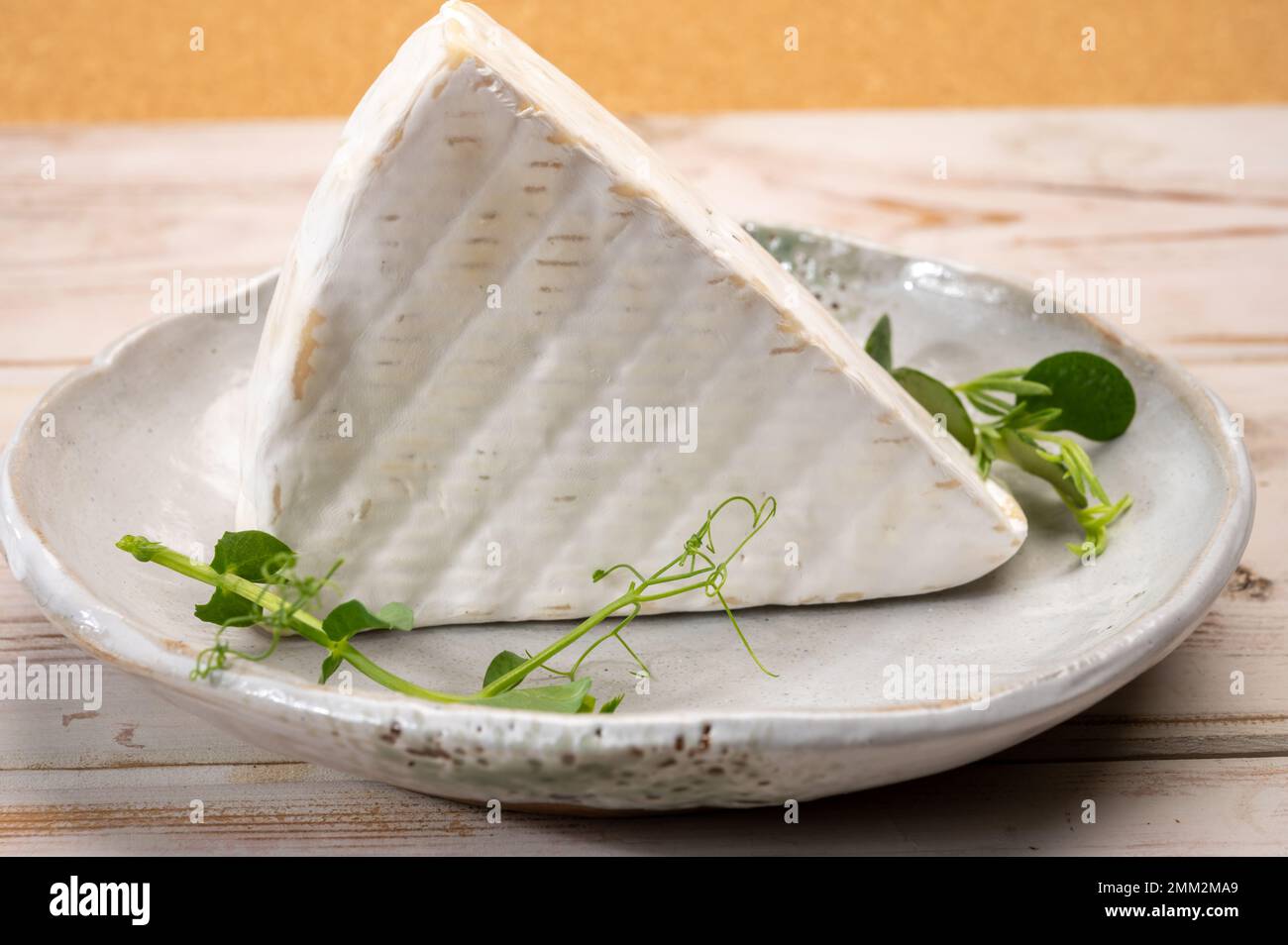 Cheese collection, French brie de Meaux cheese from Seine-et-Marne ...