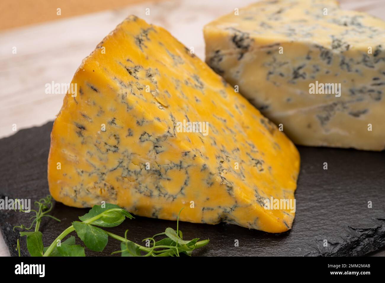Cheese collection, English old shropshire blue and stilton blue cheeses ...