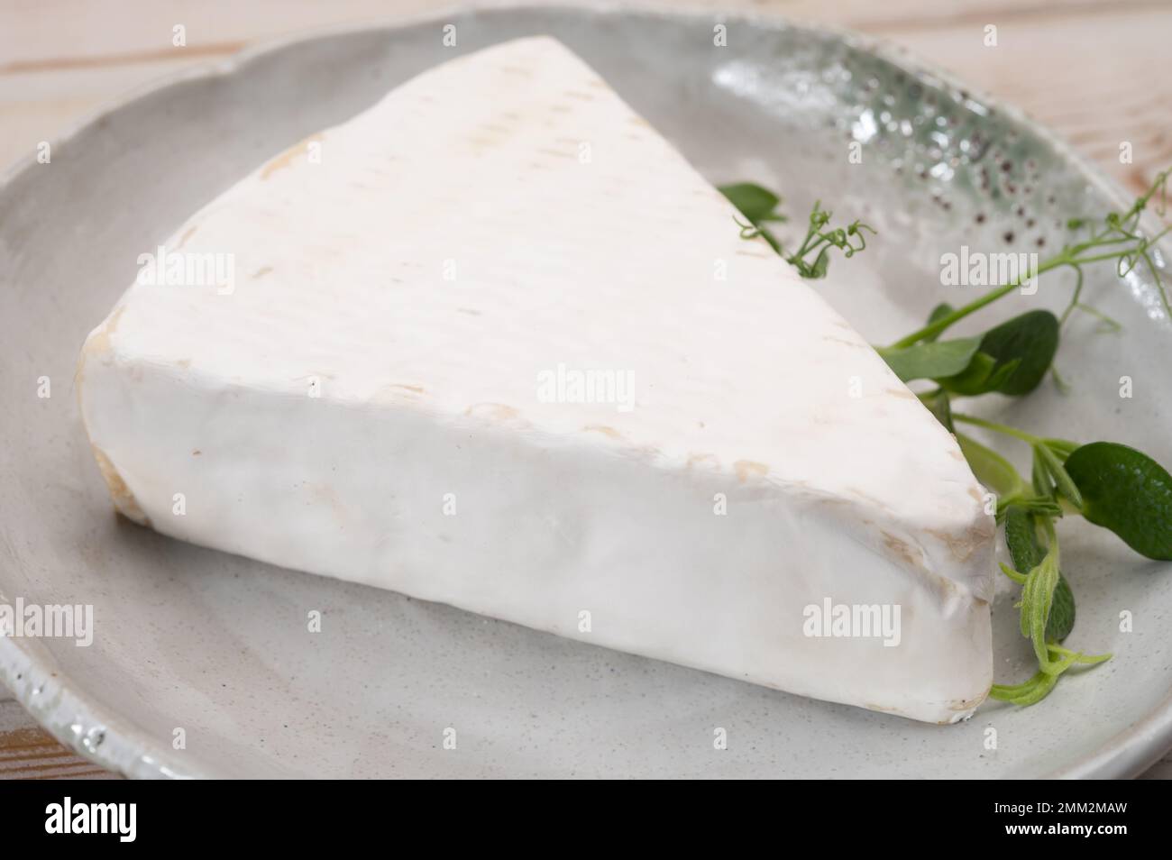 Cheese collection, French brie de Meaux cheese from Seine-et-Marne ...