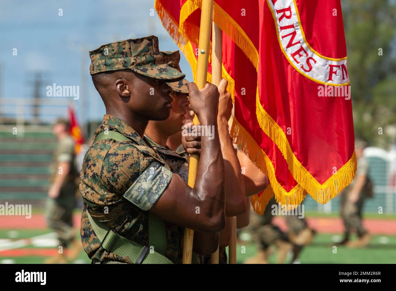 U.S. Marines with 3d Marine Division pass in review during a battle ...