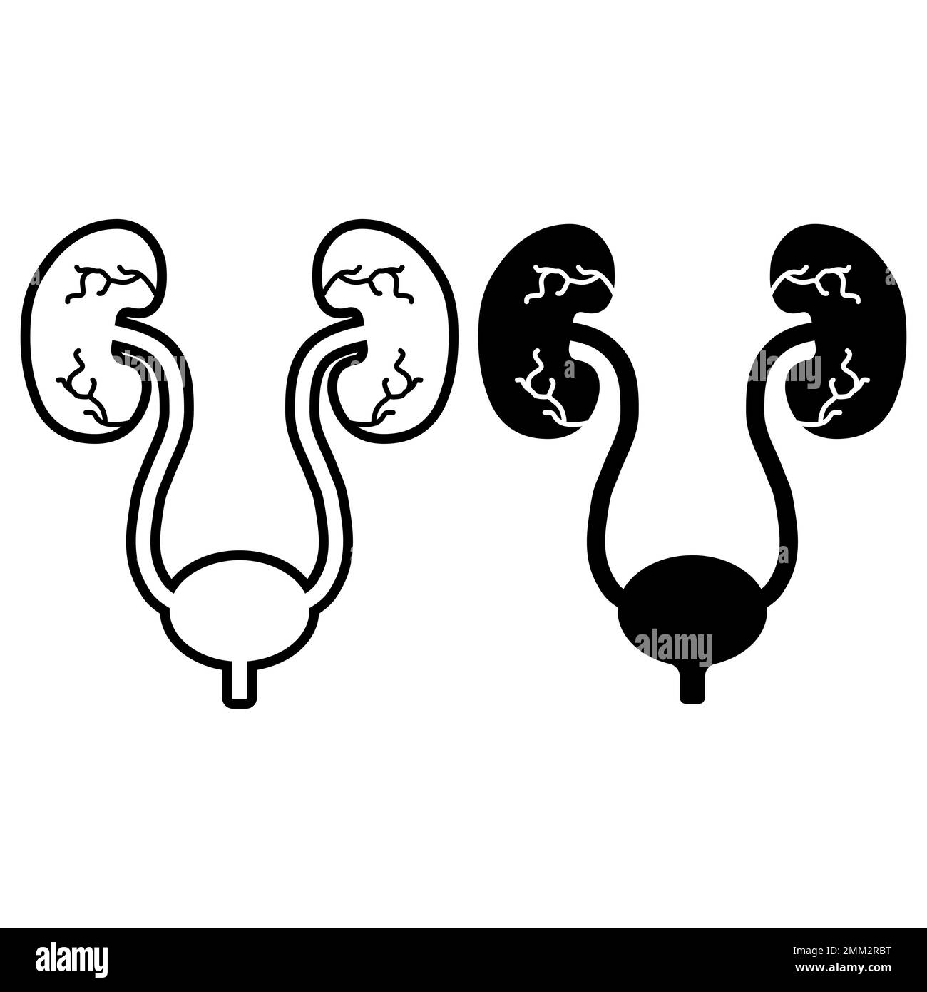 Set of Urology health human icon, anatomy medical body bladder sign ...