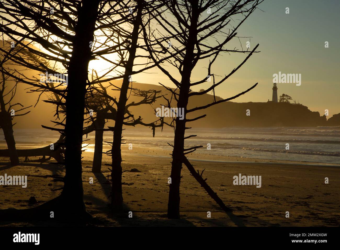 Beach silhouette to Yaquina Head Lighthouse, Moolack Beach, Newport ...