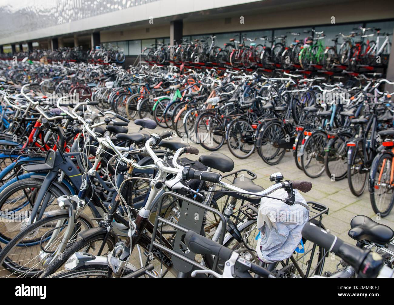 Rotterdam central station hi-res stock photography and images - Alamy