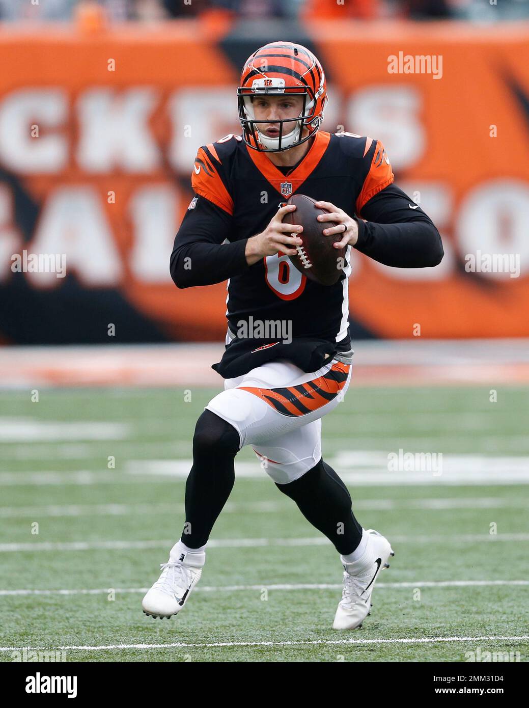 Cincinnati Bengals quarterback Jeff Driskel runs the abll in the second ...