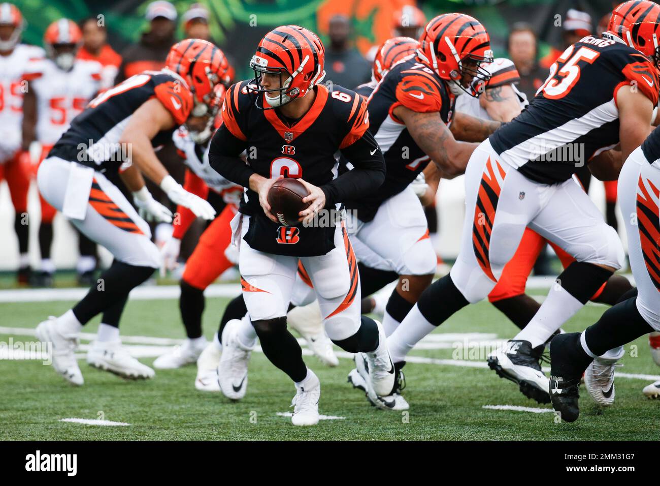 Cincinnati Bengals quarterback Jeff Driskel (6) looks to hand off the ...