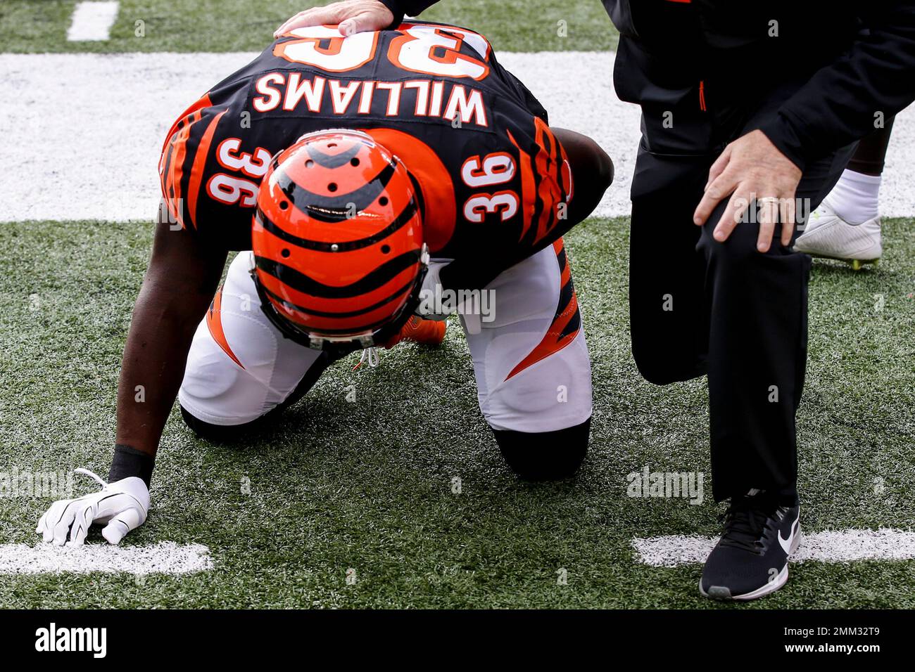 Shawn Williams Bengals