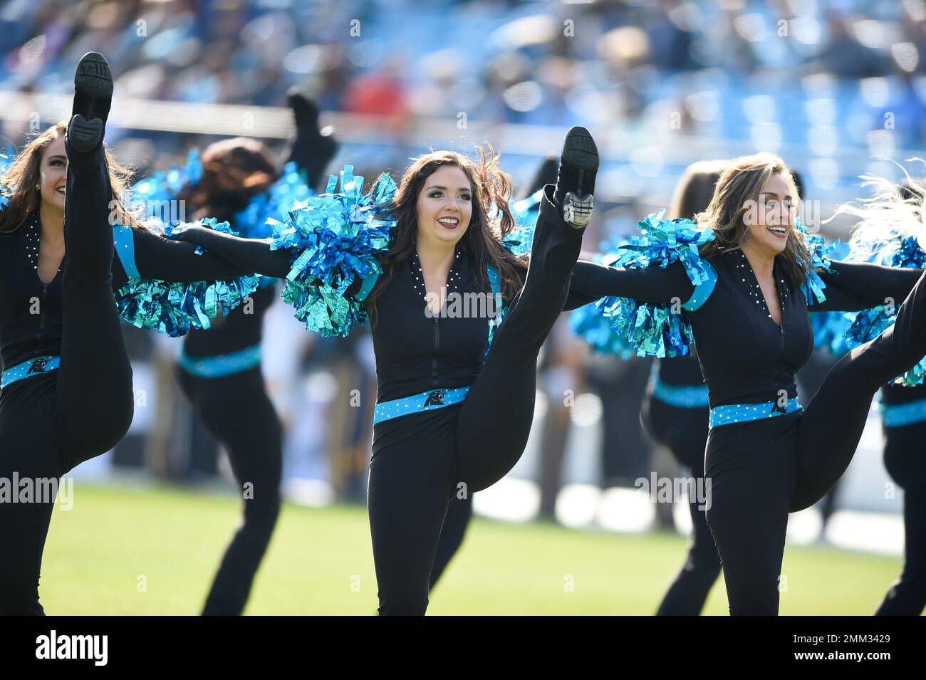 Carolina Panthers cheerleaders perform before an NFL football game ...