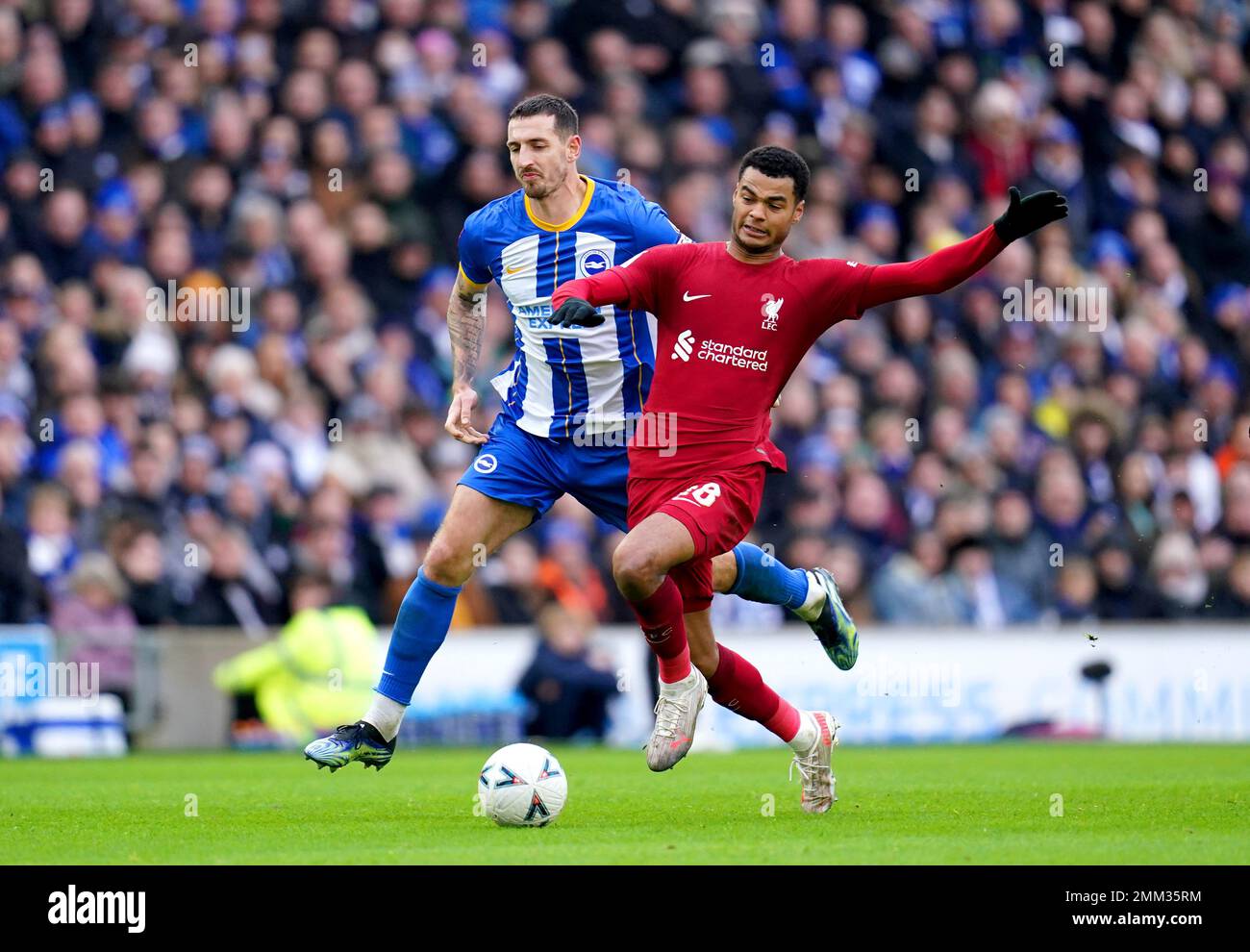 Brighton and Hove Albion's Lewis Dunk (left) and Liverpool's Cody Gakpo ...