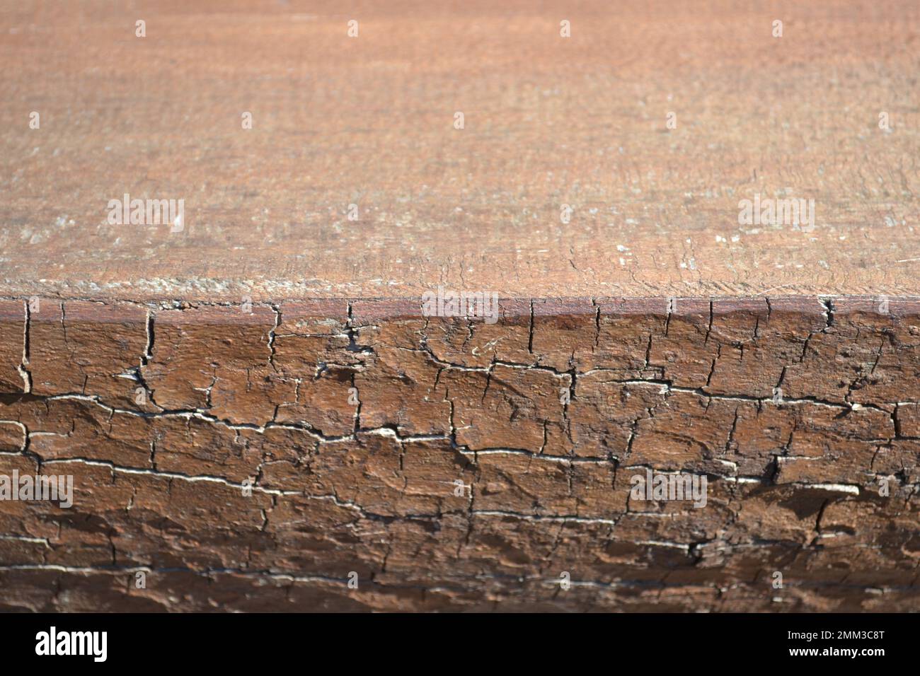 Rustic wood surface of old tree and cracked bark part attached to this ...