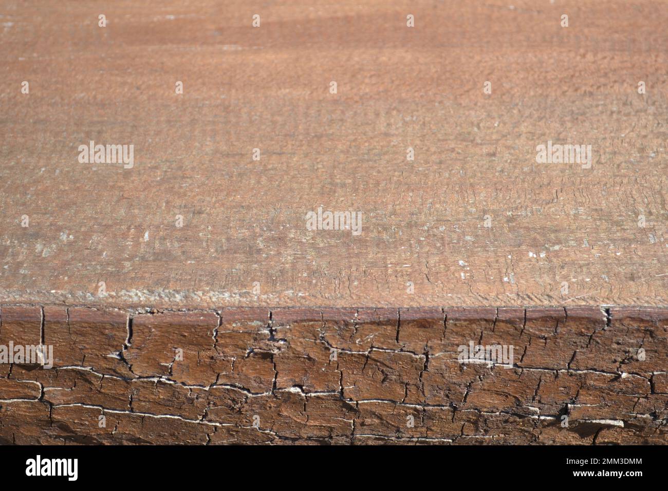Rustic wood surface of old tree and cracked bark part attached to this ...