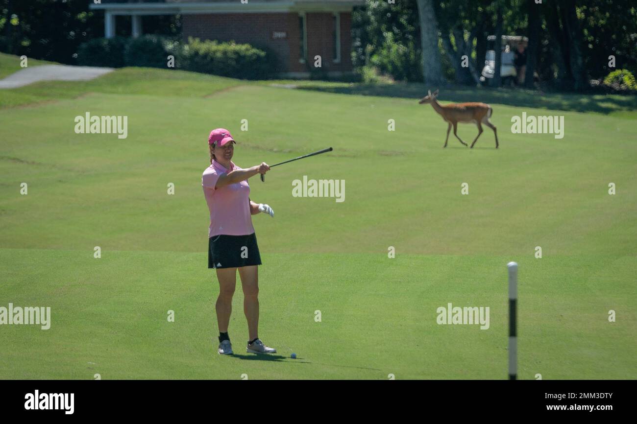 U.S. Army Reserve Col. Sunny Mitchell, officer-in-charge of recruiting ...