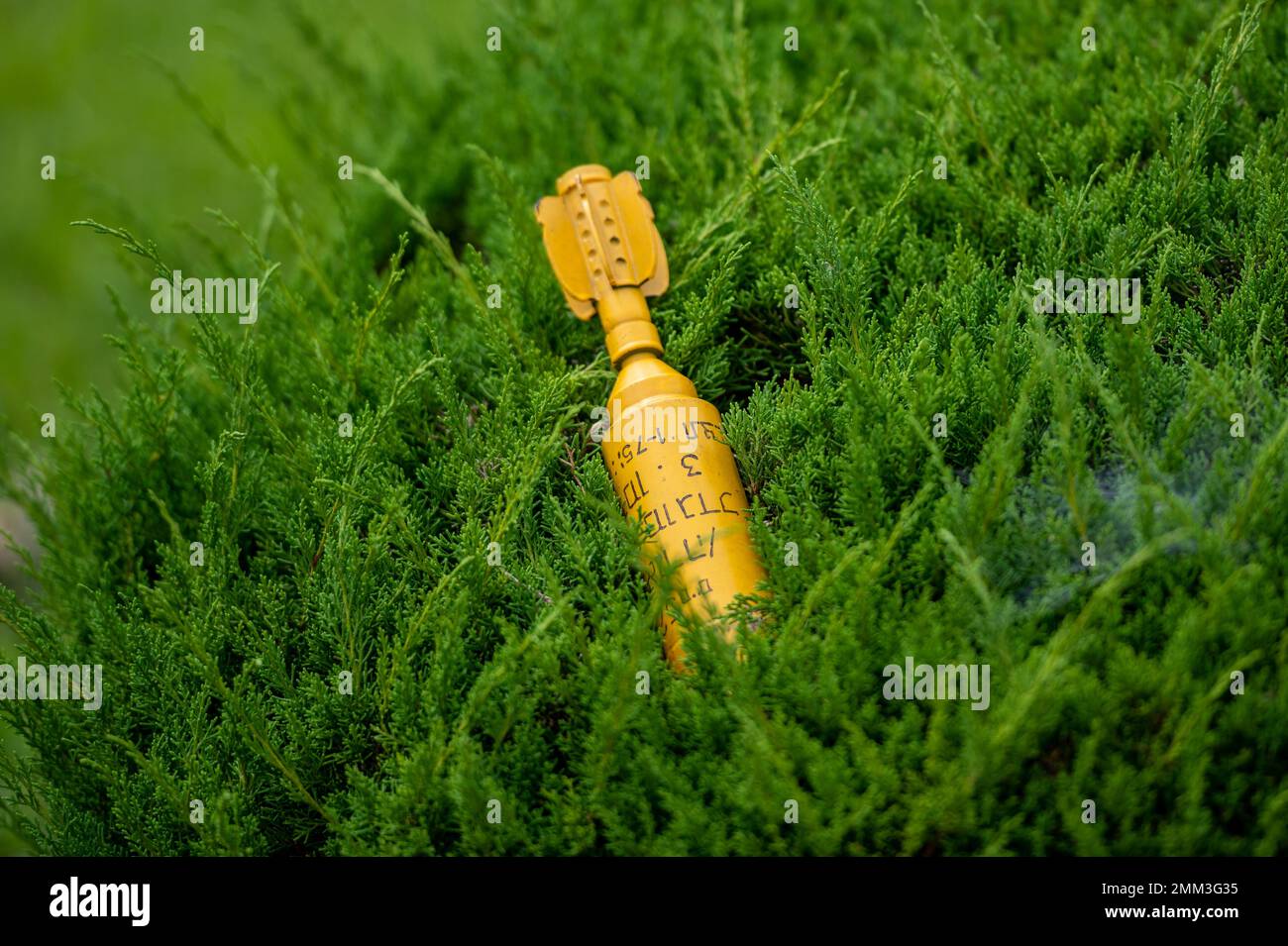 A simulated unexploded ordnance (UXO) is discovered in a bush during a ...