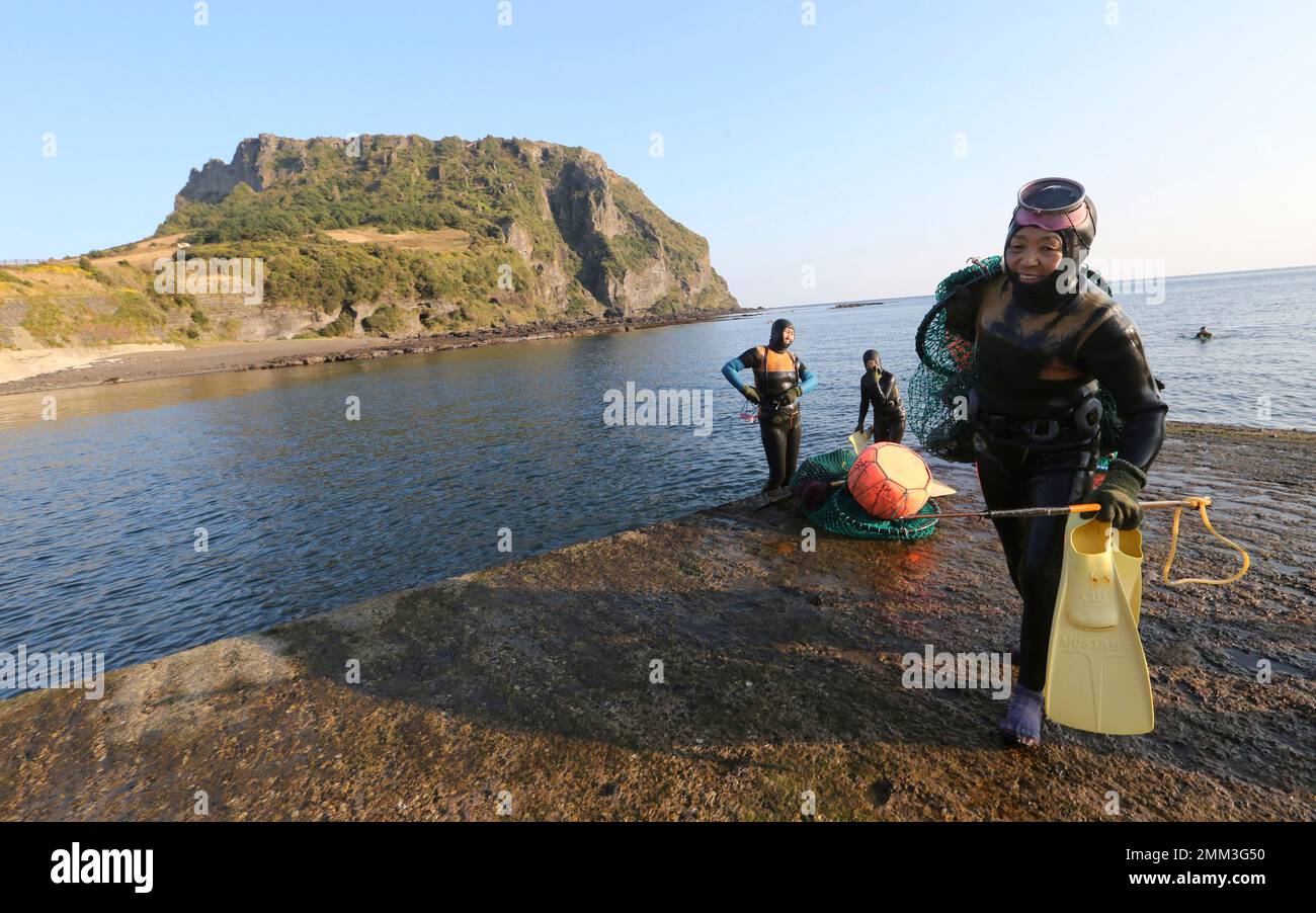 South Korean Haenyeos come out from the water after catching turban ...