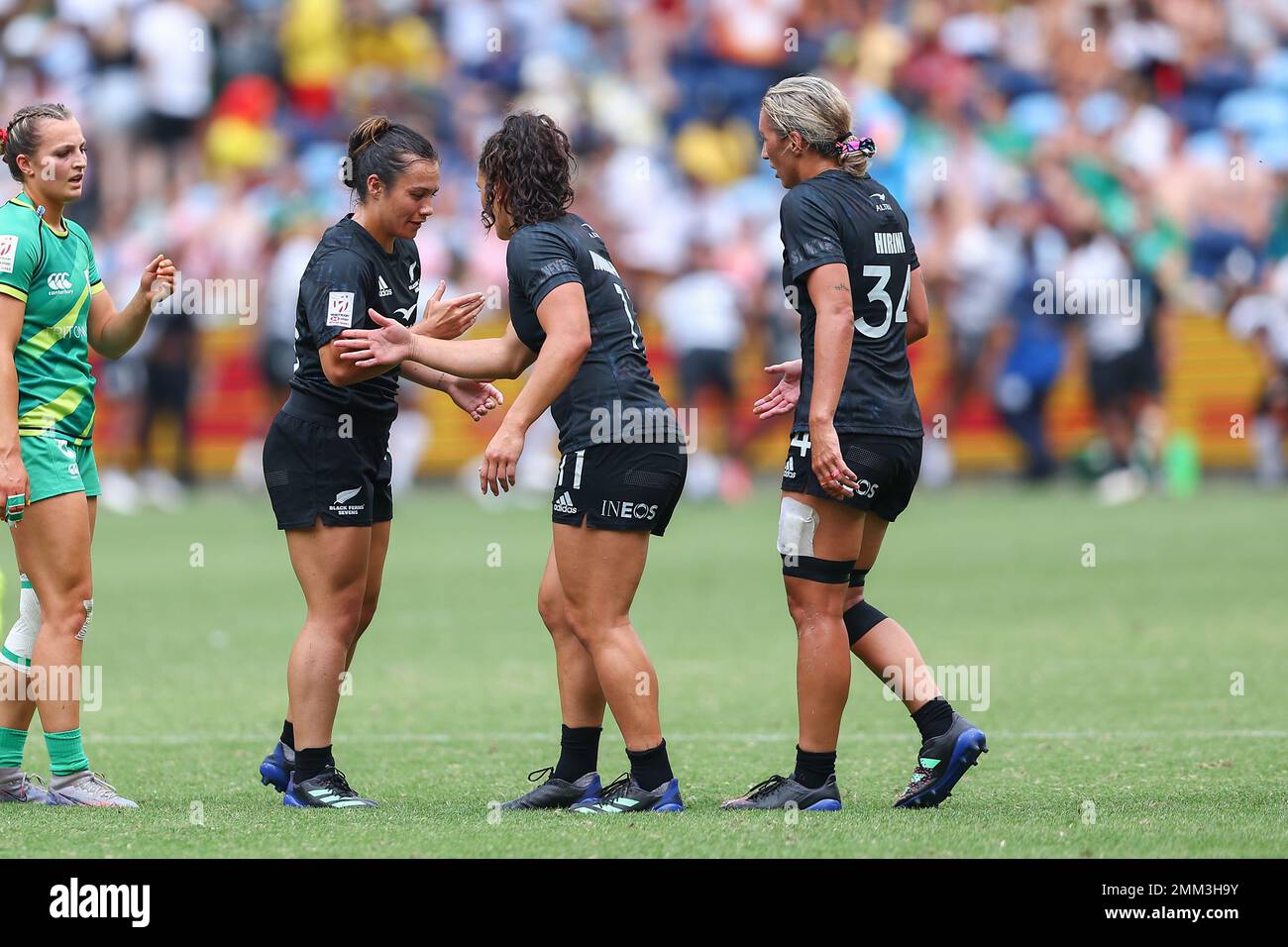 Portia woodman wickliffe hi-res stock photography and images - Alamy