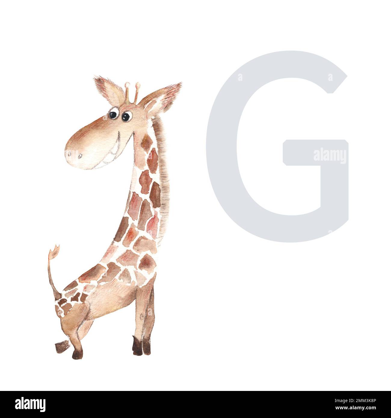 Letter G, giragffe, cute kids colorful animals ABC alphabet. Watercolor ...