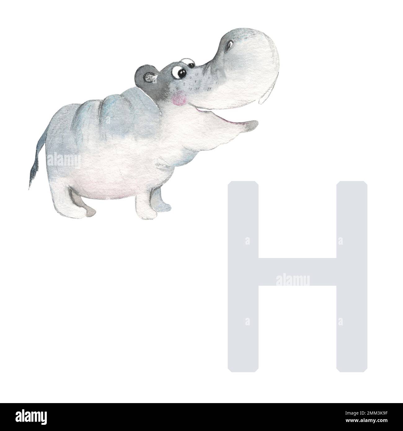 Letter H, hippo, cute kids colorful animals ABC alphabet. Watercolor ...
