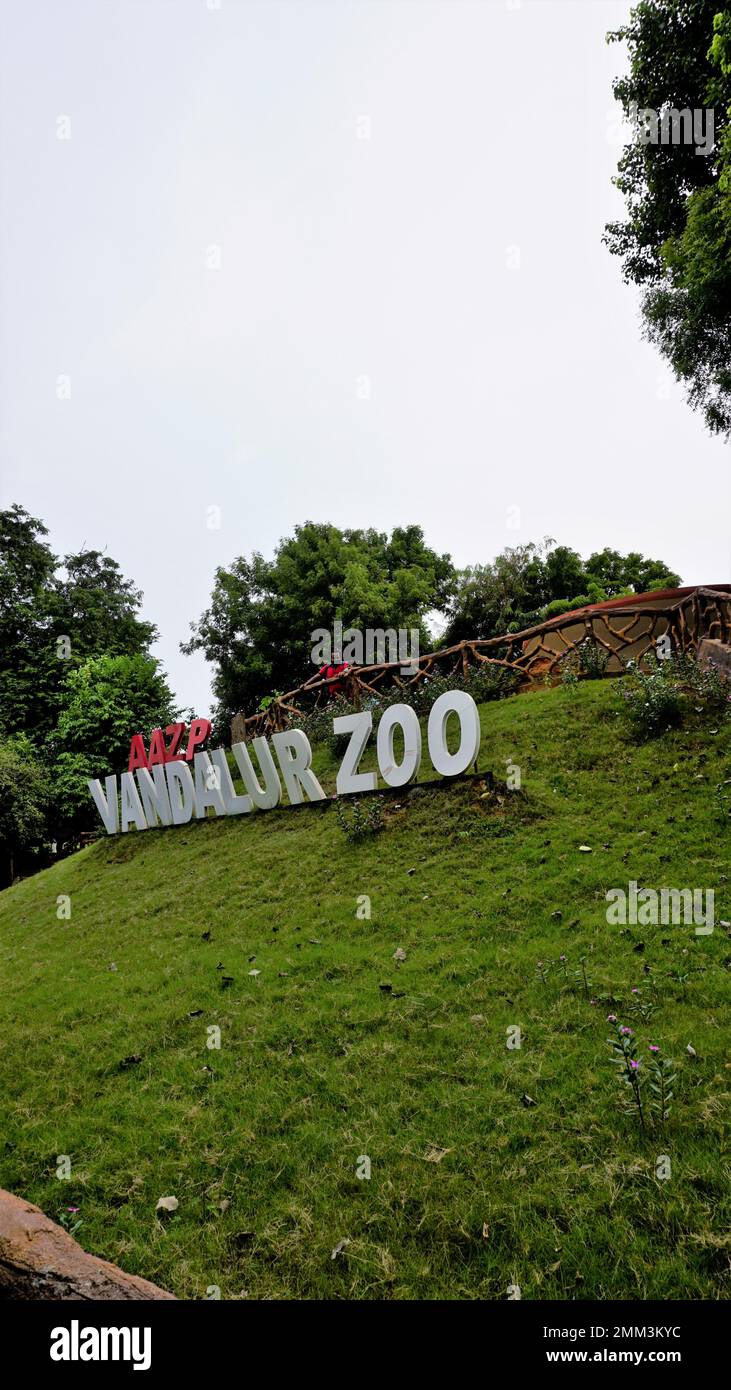 Vandalur,Tamilnadu,India-October 04 2022: Arignar Anna Zoological Park ...