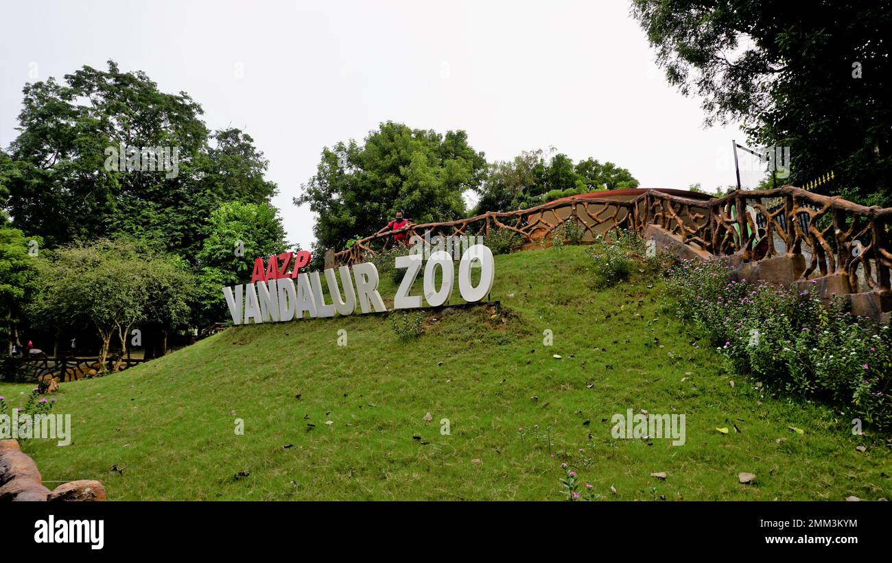 Vandalur,Tamilnadu,India-October 04 2022: Arignar Anna Zoological Park ...