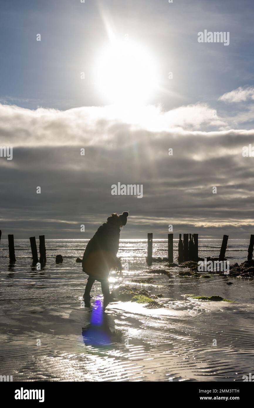 Harbour View, West Cork, Ireland. 29th Jan, 2023. A woman collects ...