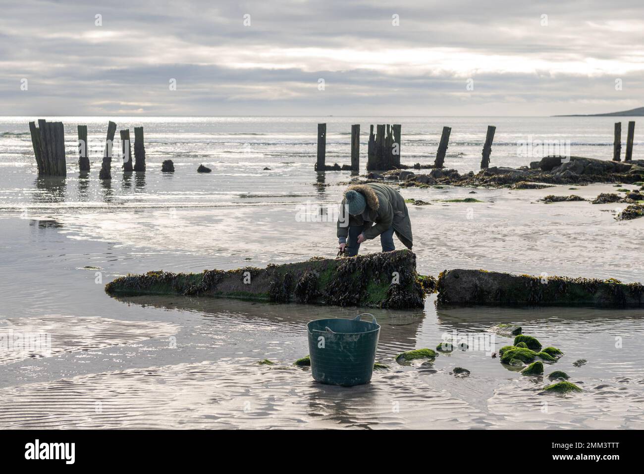 Harbour View, West Cork, Ireland. 29th Jan, 2023. A woman collects ...